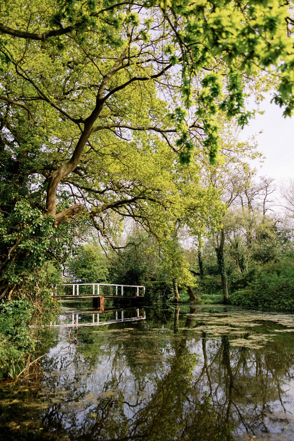 A Tour of Thicket Priory | Wedding Venue North Yorkshire