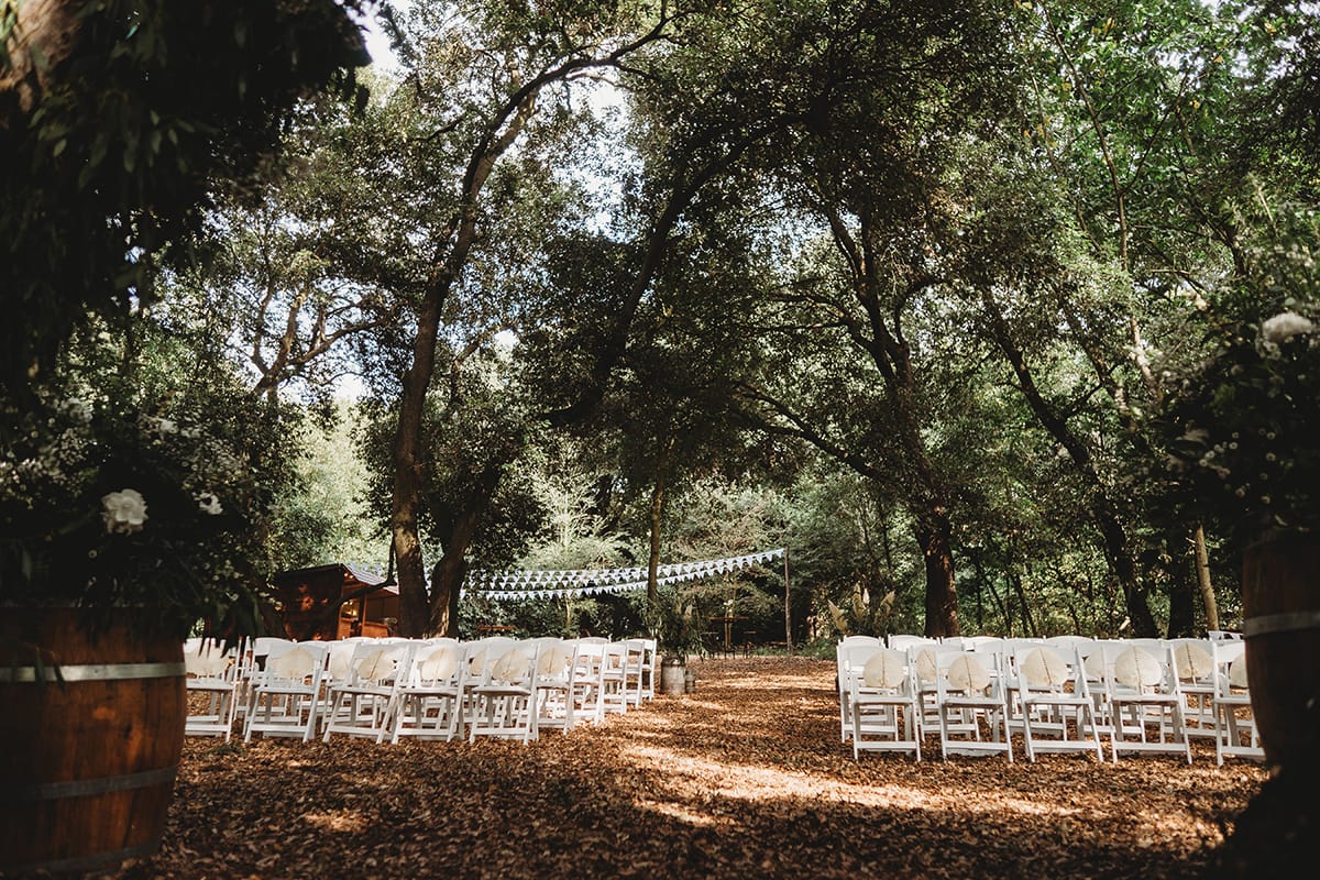 Braxted Park | Woodland Wedding Venue in Essex