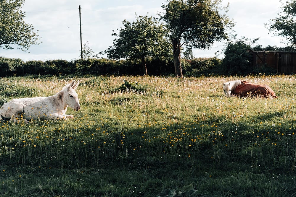 Milton End | Family-run Wedding Venue in Gloucestershire