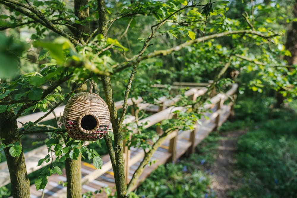 Rewild Things at Elmore Court | Treehouse Accommodation
