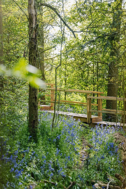Rewild Things at Elmore Court | Treehouse Accommodation