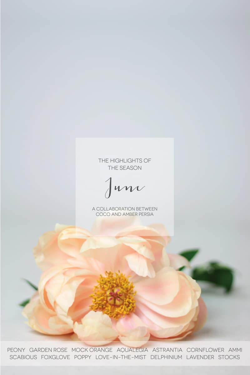 June's Floral Highlights - Wedding Flower Inspiration