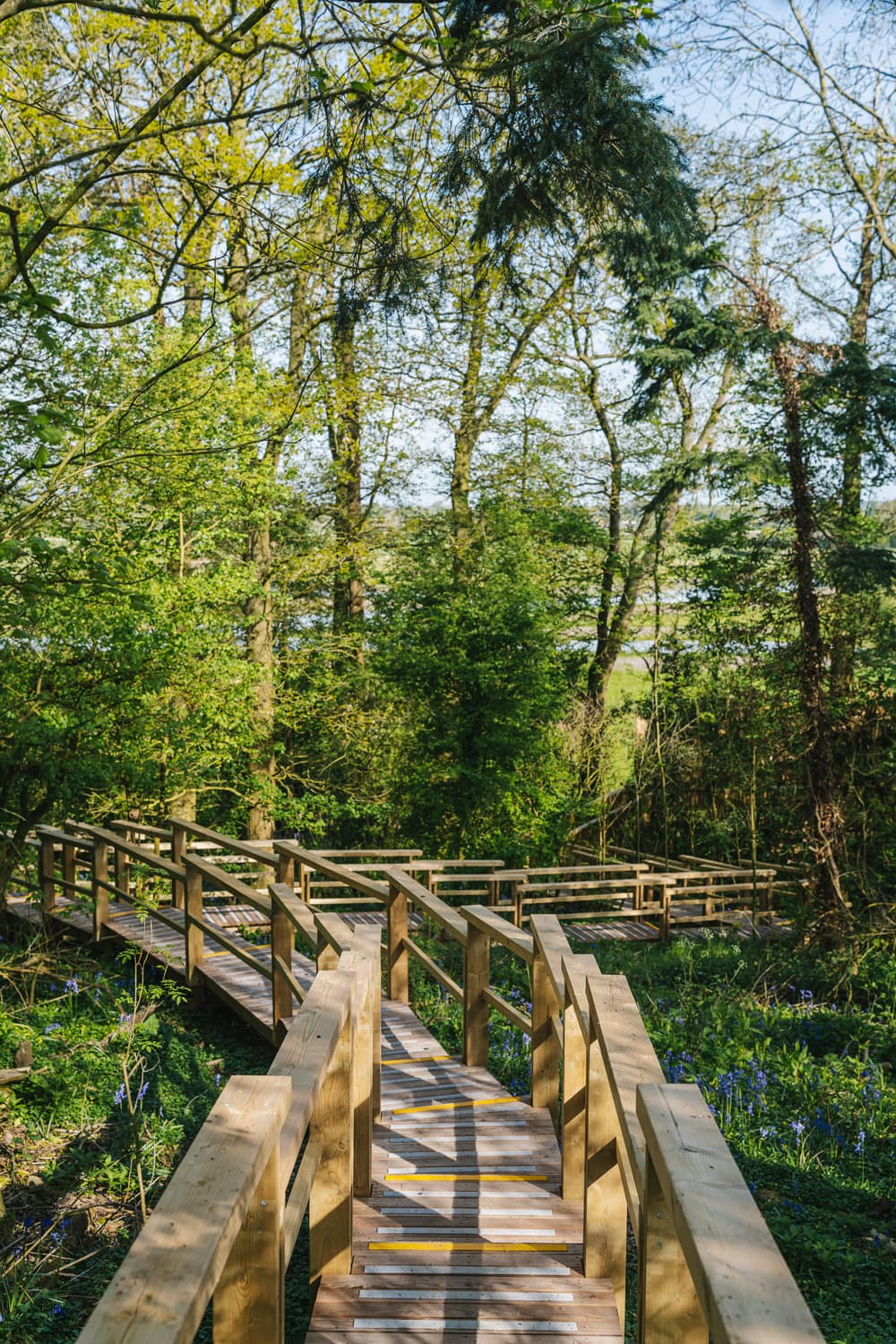 Rewild Things at Elmore Court | Treehouse Accommodation