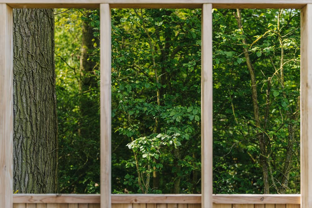 Rewild Things at Elmore Court | Treehouse Accommodation