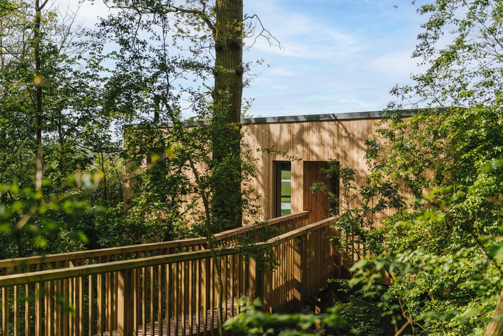 Rewild Things at Elmore Court | Treehouse Accommodation
