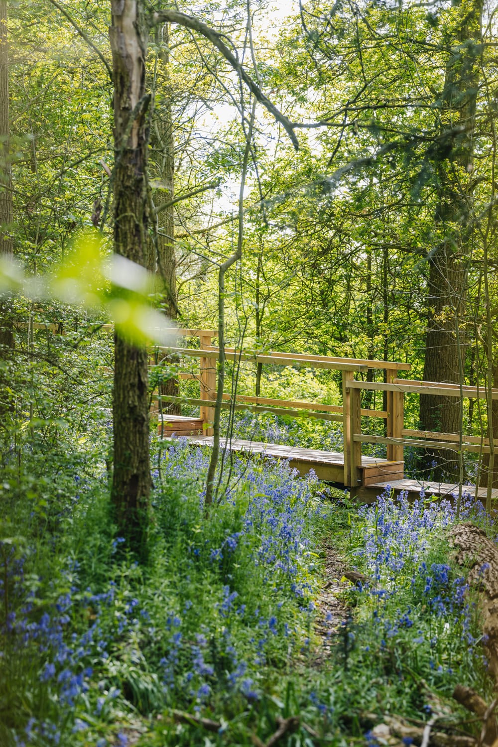 Rewild Things at Elmore Court | Treehouse Accommodation