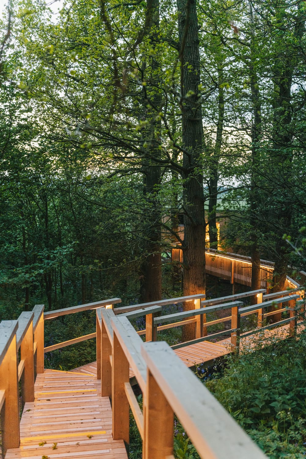 Rewild Things at Elmore Court | Treehouse Accommodation