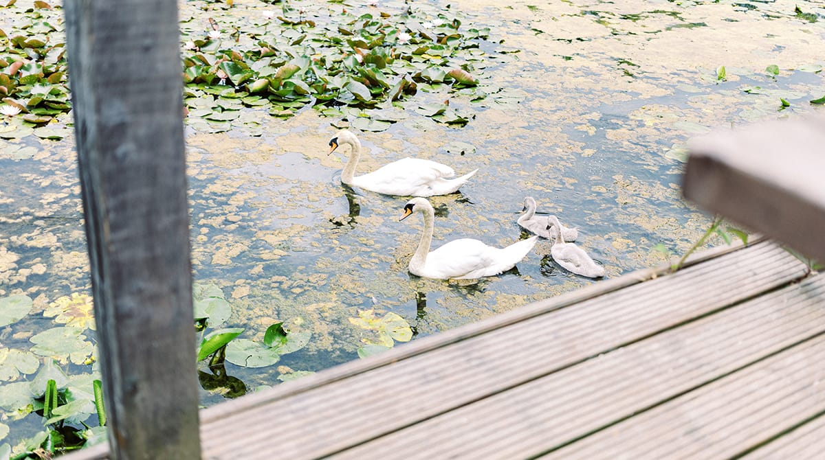 Browning Bros. Wild Wedding Venues | Wedding Venues in Essex, Eastern