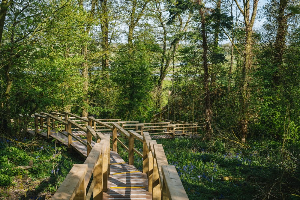 Rewild Things at Elmore Court | Treehouse Accommodation